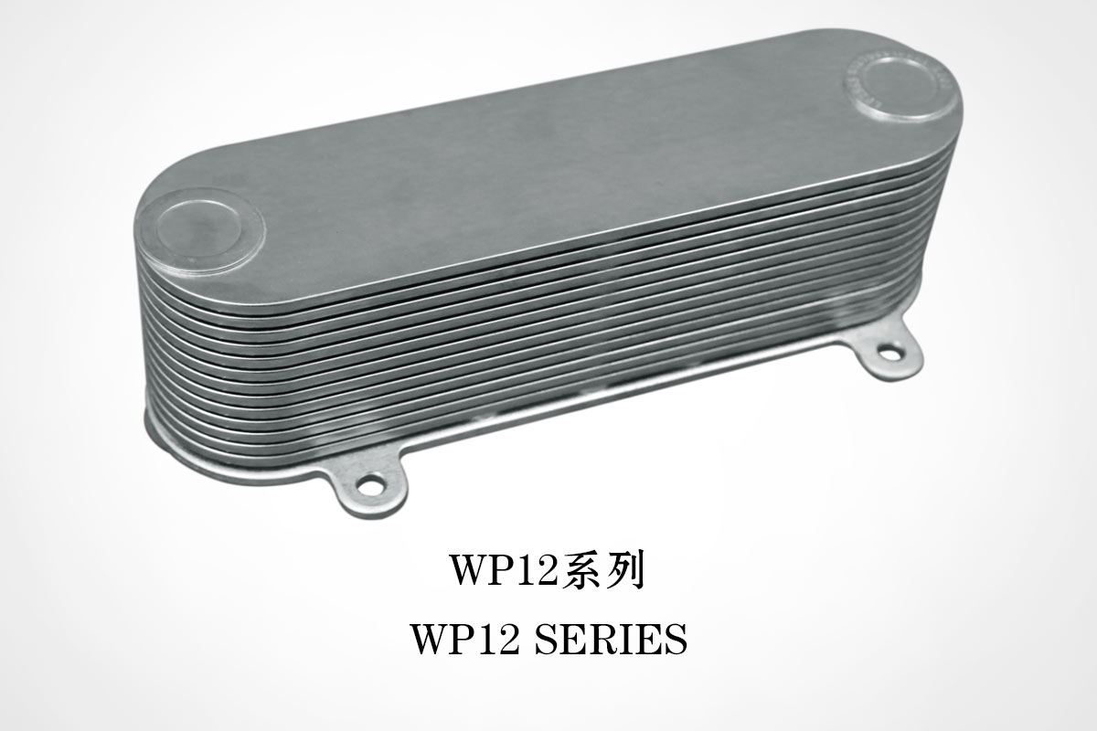 WP12系列 - 潍坊市天浩机械科技有限公司